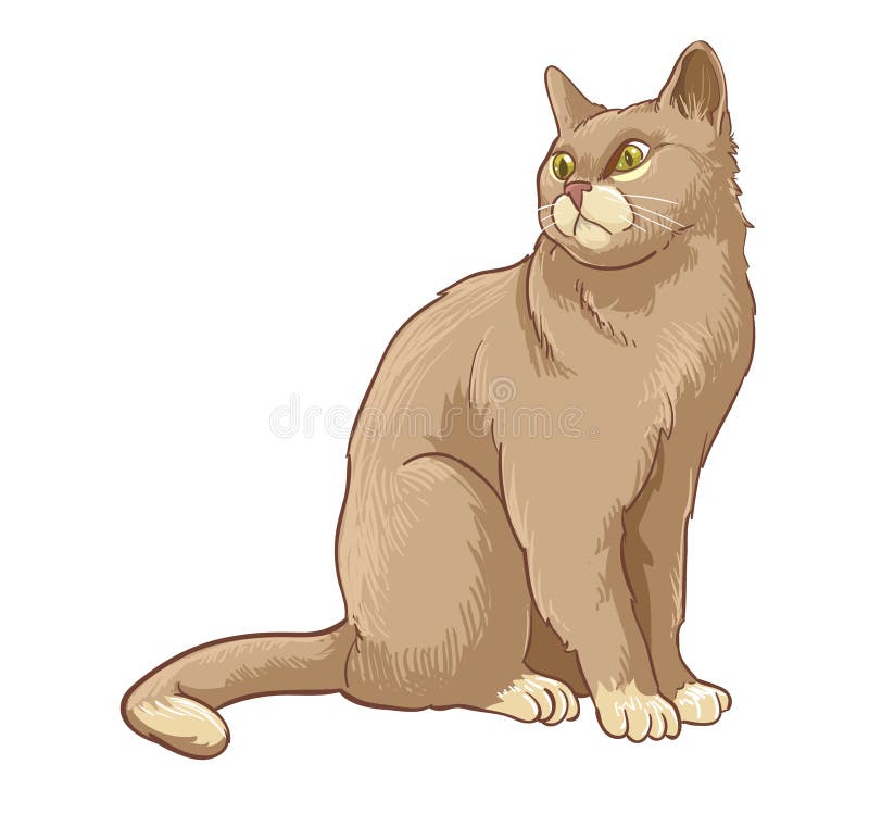 Cat Sitting Looking Back stock vector. Illustration of mammal - 36988975
