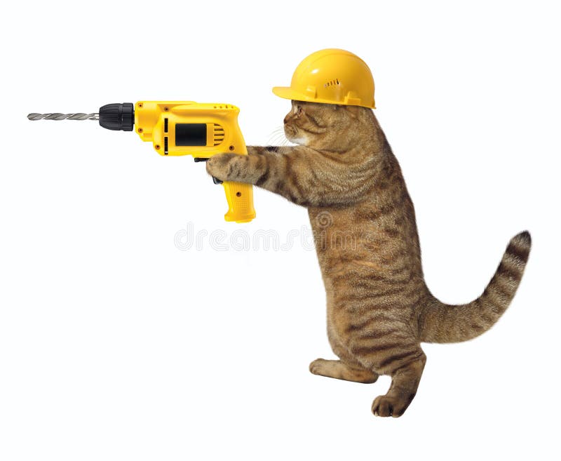 Cat builder with drill stock image. Image of professional - 123551503