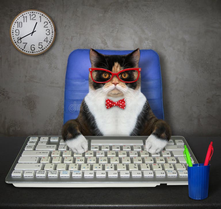 1,469 Cat Typing Computer Stock Photos - Free & Royalty-Free Stock ...