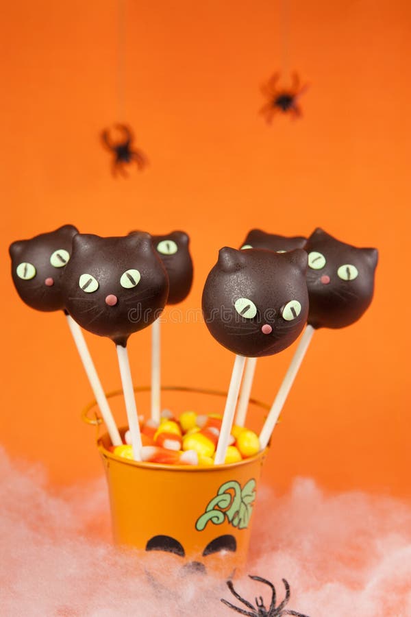 Cat cake pops stock photo. Image of pops, bucket, ball - 26723590
