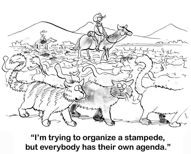 Cat Cannot Organize Stampede Stock Illustration - Illustration of herd ...