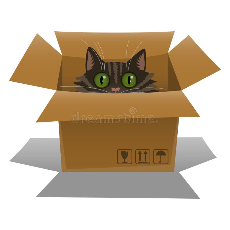 Cat in a Cardboard Box. Kitten is Looking Out of a Box Stock Vector ...