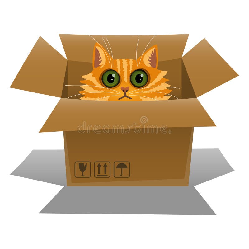 Cat in a Cardboard Box. Kitten is Looking Out of a Box Stock Vector ...