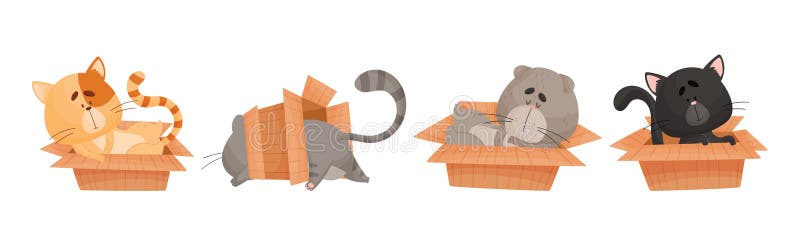Cat and Cardboard Box Sitting Inside and Playing Vector Set Stock ...