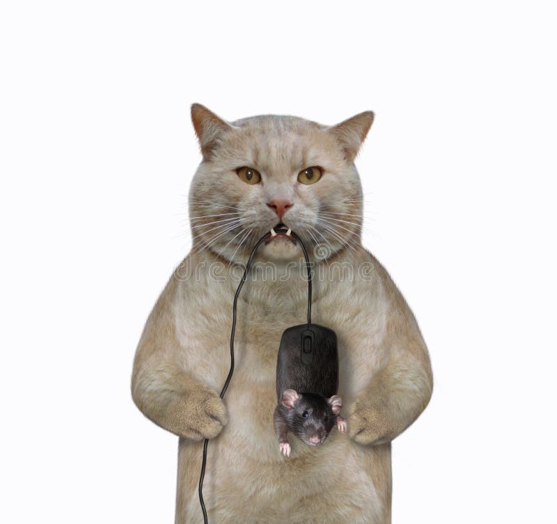 Cat Eating Computer Mouse
