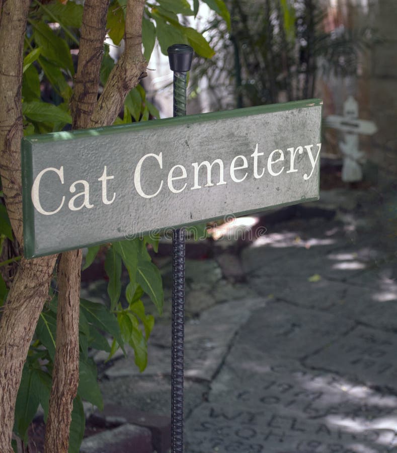 Cat cemetery stock image. Image of grey, tomb, peace - 32644863