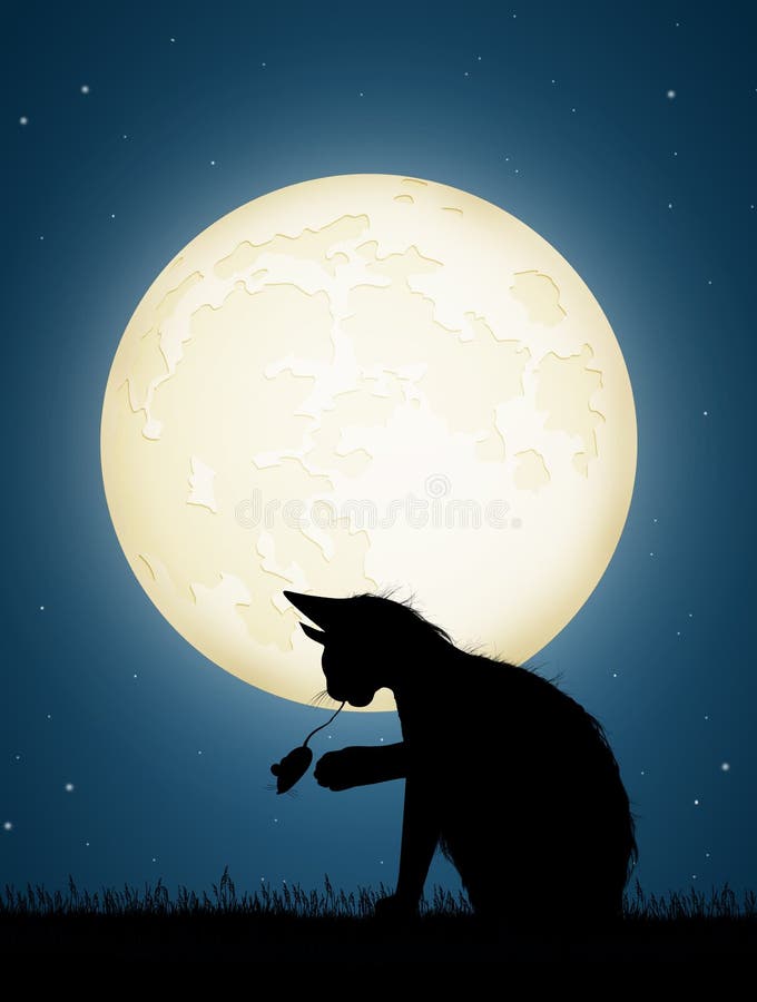 Cat Chasing Mice in the Night Stock Illustration - Illustration of ...