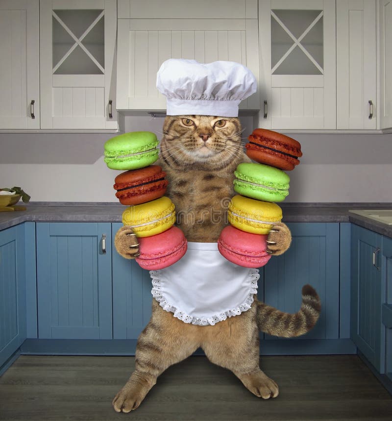 Cat Cook with Cookies in the Kitchen Stock Photo - Image of pile ...