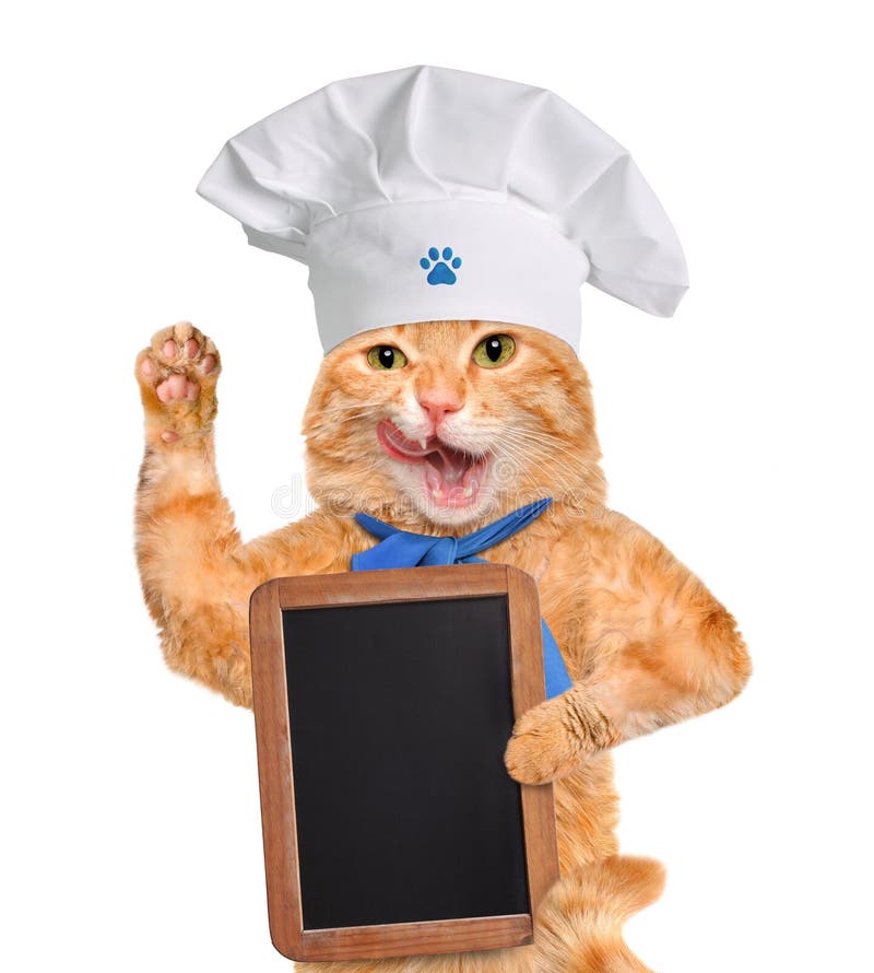 Cat chef. stock image. Image of culinary, recipe, lunch - 54440819
