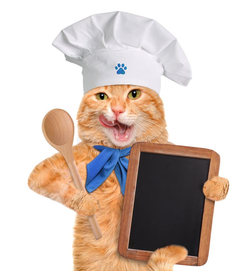 927 Cat Chef Photos - Free & Royalty-Free Stock Photos from Dreamstime