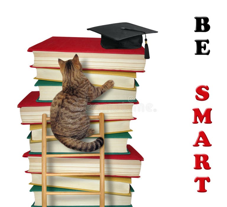 Cat Climbs the Ladder of Knowledge 2 Stock Illustration - Illustration ...