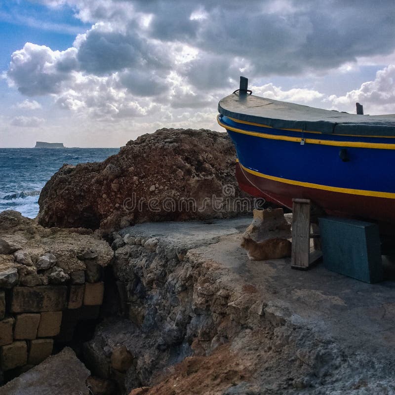 Cat in Colourful Boat on Sunset in Marsaxlokk, Malta. Stock Image ...