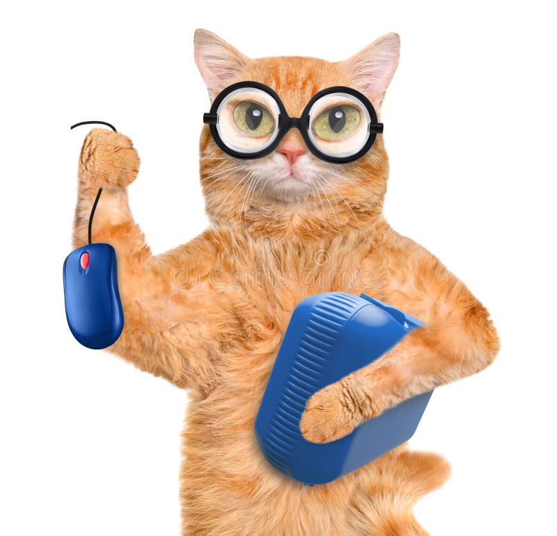 Cat with Computer Mouse and Lunch Box. Stock Image - Image of kitten ...