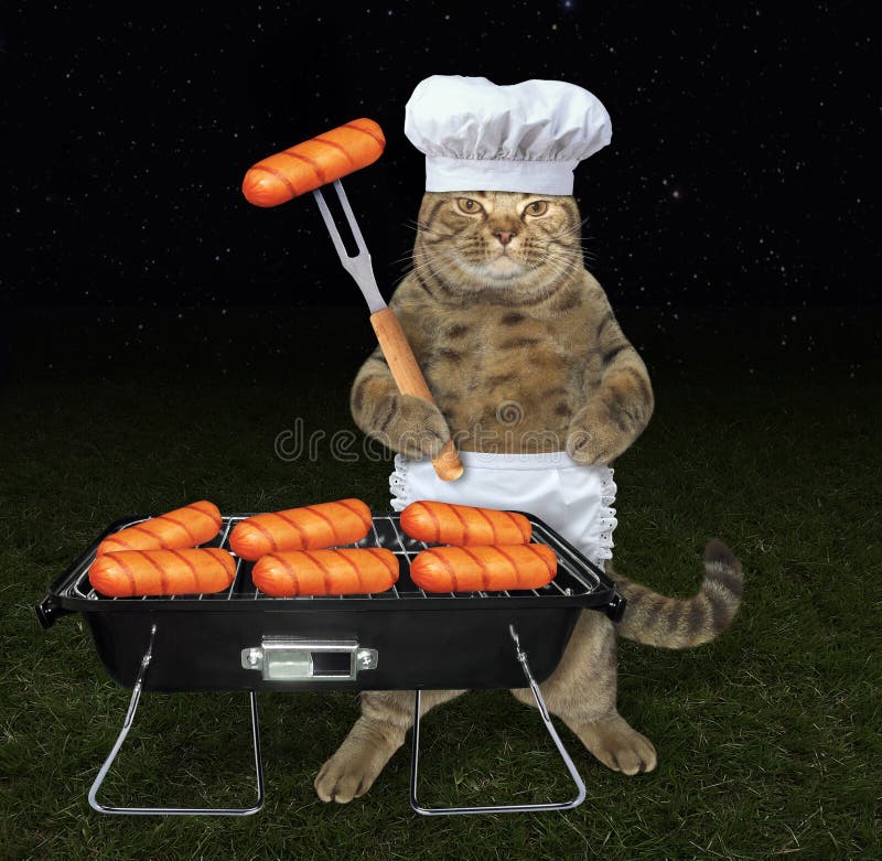 Cat Cooks Sausages on Grill Stock Photo - Image of party, roasted ...