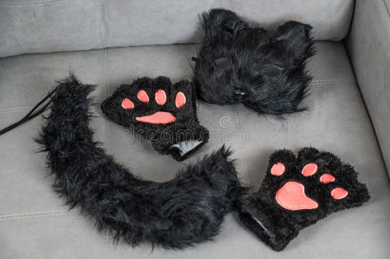 Cat Costume Gray Sofa Quadrober Stock Photos - Free & Royalty-Free ...