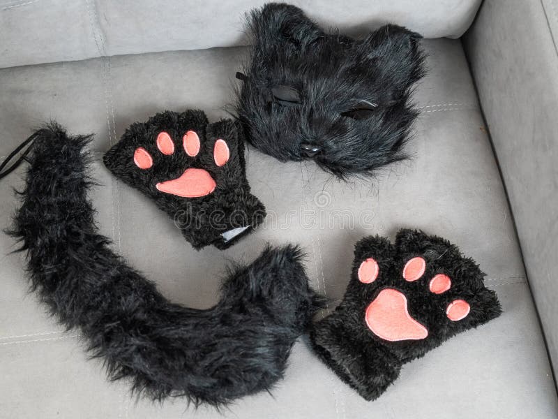 Cat Costume on a Gray Sofa. Quadrober. Stock Image - Image of curious ...