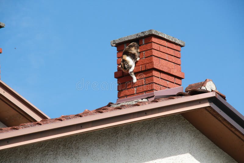 A Cat Crawling Out of a Chimney Stock Photo - Image of chimney, house ...