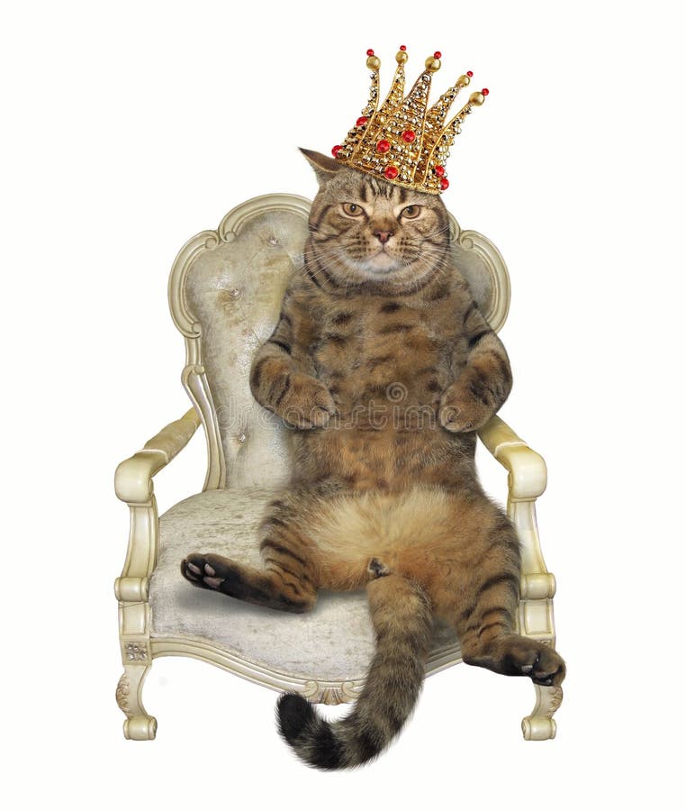 Cat in crown on throne stock image. Image of background - 119870841