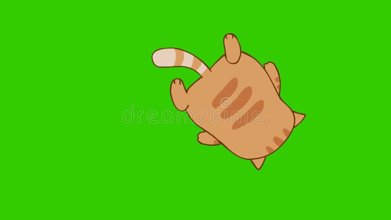 Cat Cute Animation on Green Screen Stock Video - Video of surprised ...