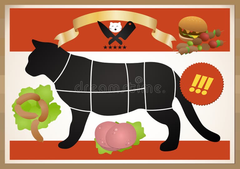 Butcher S Chart of Cat Meat Stock Illustration - Illustration of ...