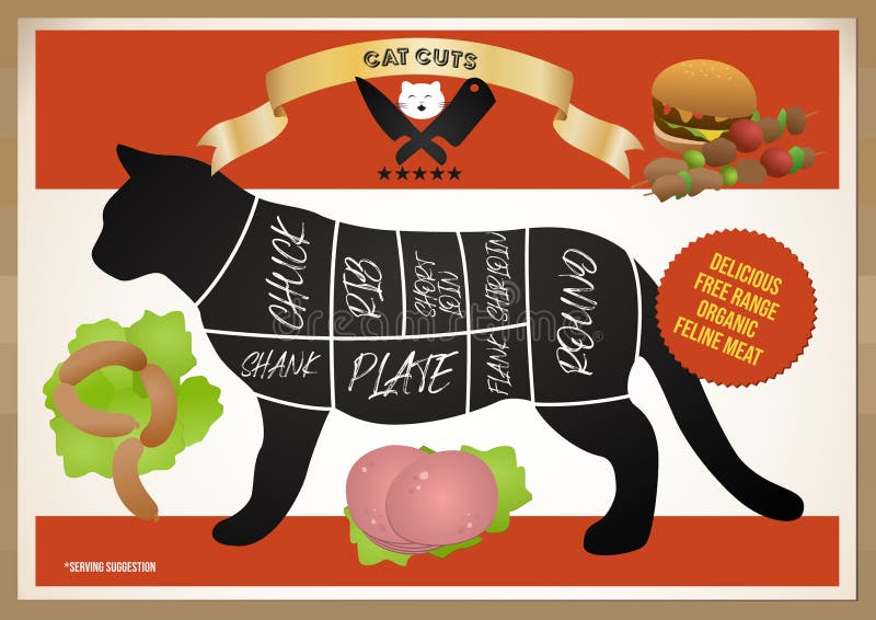 Feeline Animal Stock Illustrations – 1 Feeline Animal Stock ...