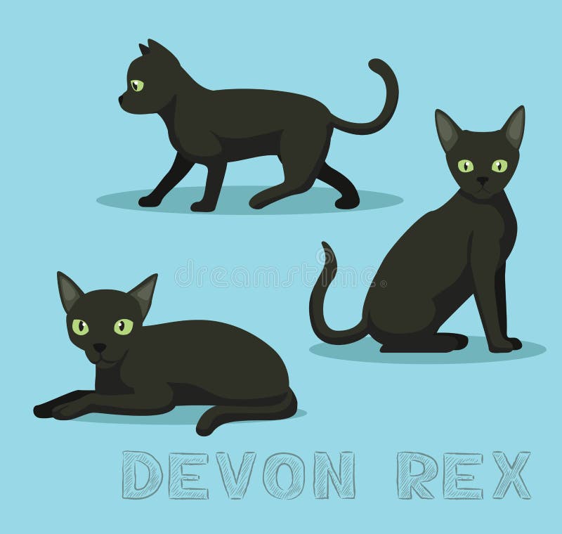Cat Devon Rex Cartoon Vector Illustration Vector Illustratie ...