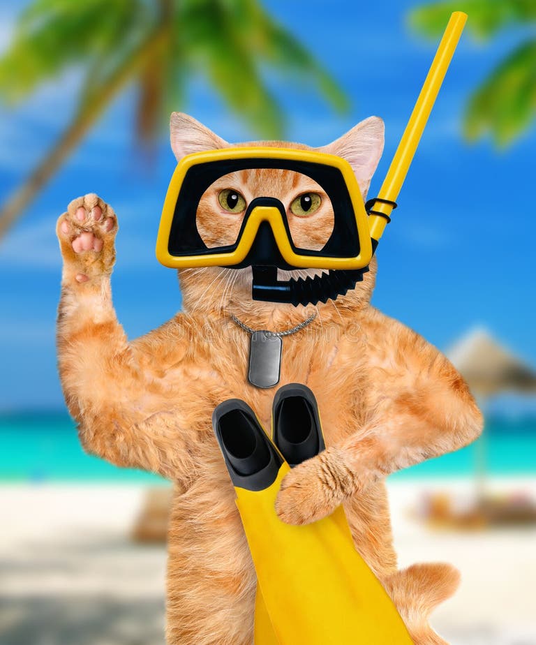 135 Scuba Diver Costume Stock Photos - Free & Royalty-Free Stock Photos ...