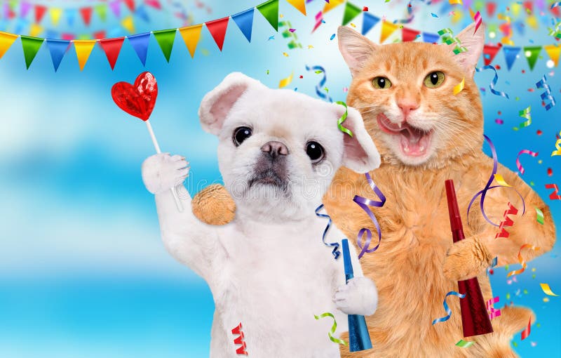 Cat and Dog are Celebrating. Stock Image - Image of friendship ...