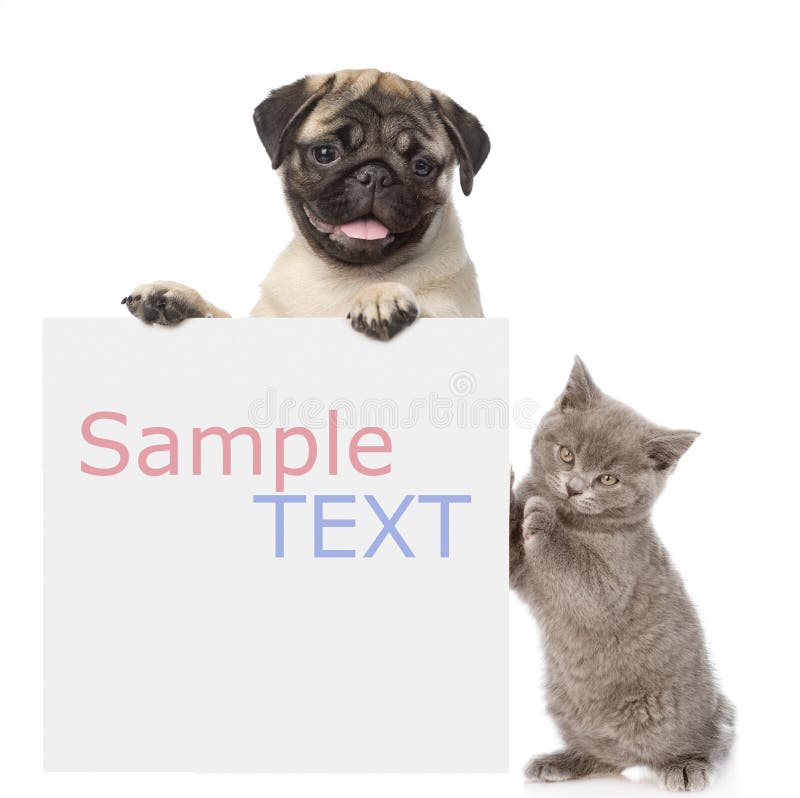 Cat and Dog Peeking from Behind Empty Board and Looking at Camera. on ...