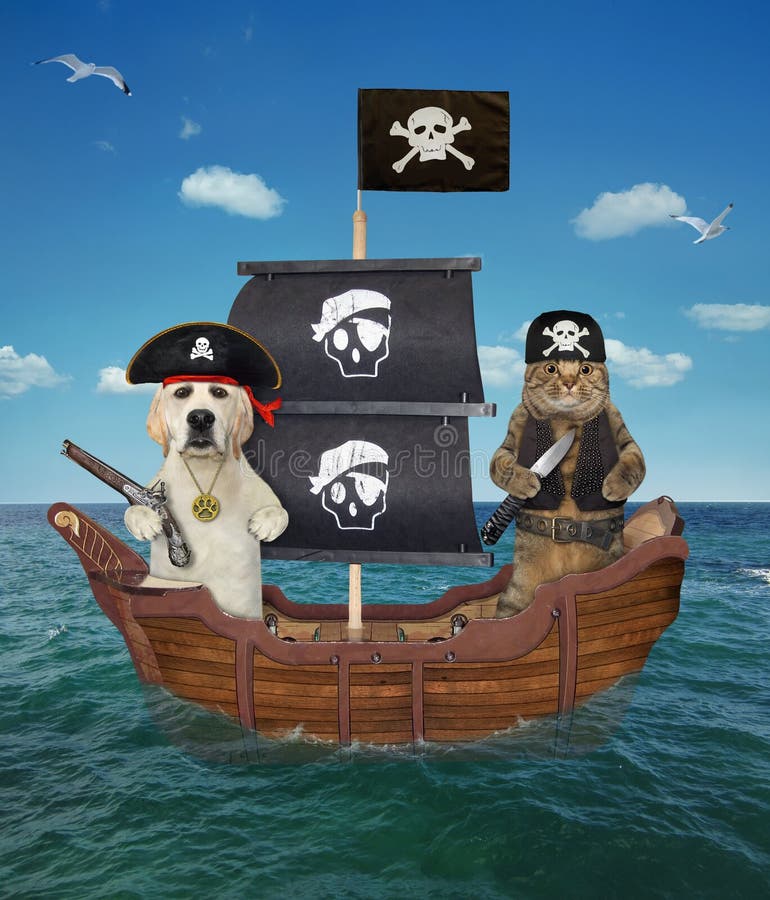 Cat with Dog on Pirate Sailing Ship 2 Stock Photo - Image of concept ...