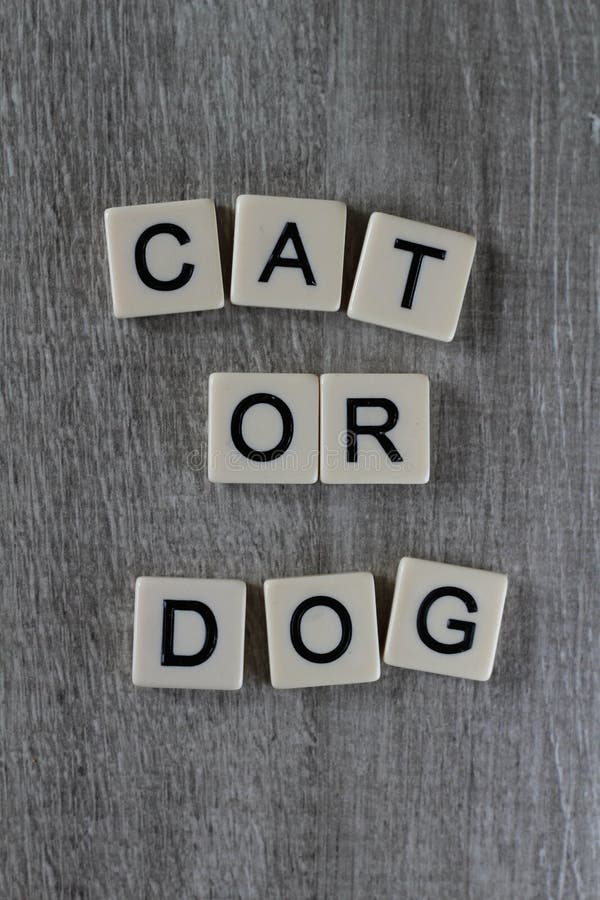 Cat or dog stock photo. Image of tiles, positive, answer - 56078110