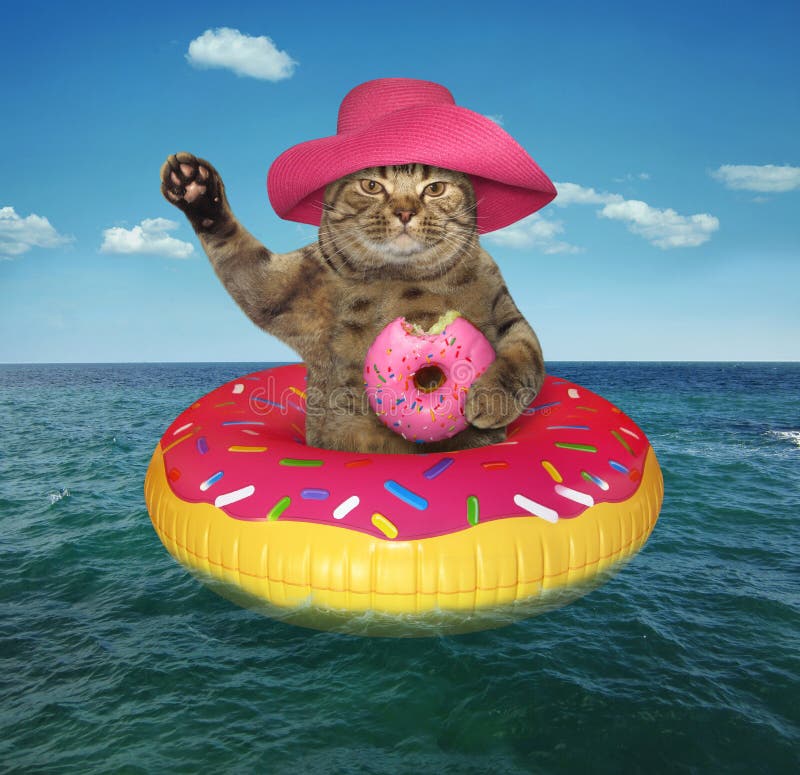 344 Inflatable Cat Photos - Free & Royalty-Free Stock Photos from ...