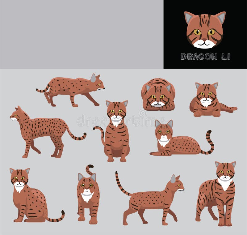 Cat Dragon Li Cartoon Vector Illustration Color Variation Set Stock ...