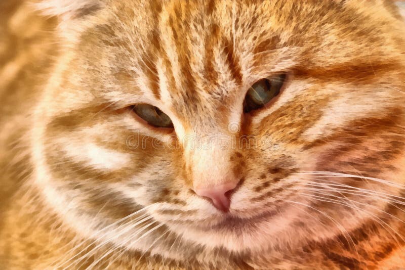 Cat, Drawing, Realism stock illustration. Illustration of domestic ...