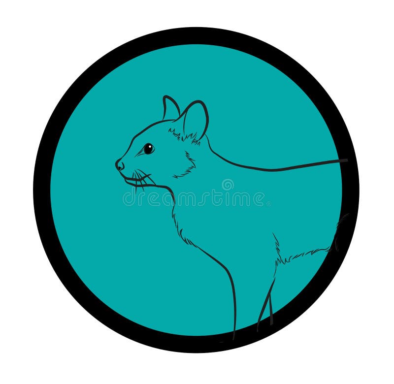 Cat Drawing Vector Illustration Stock Vector - Illustration of predator ...