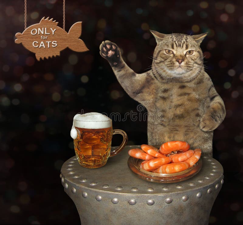 Cat drinks beer in the bar stock photo. Image of alcohol - 122623726