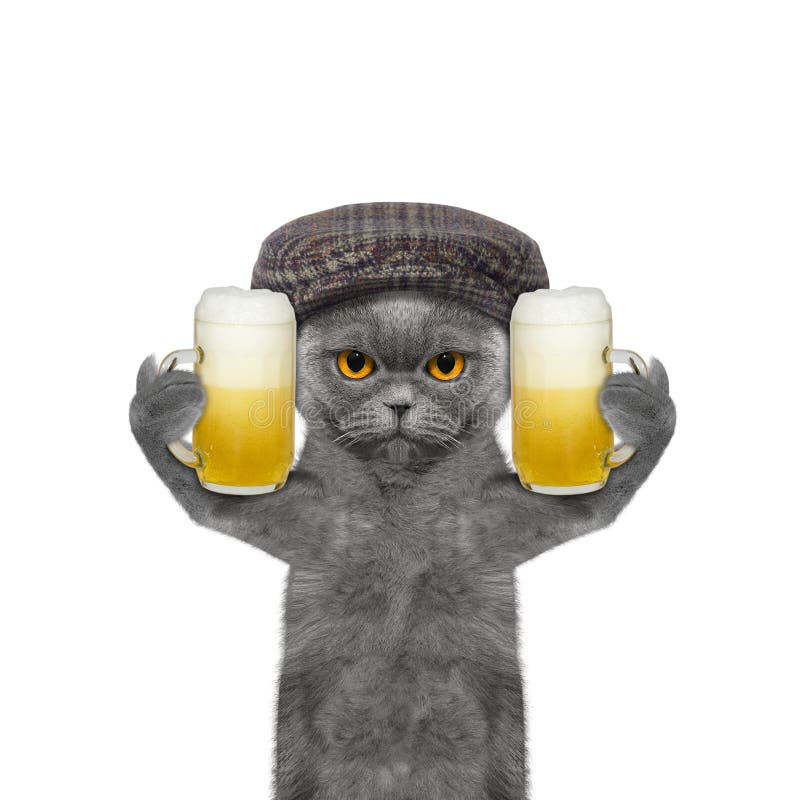 Cat Drinks Beer and Greeting Somebody Stock Image - Image of alcohol ...