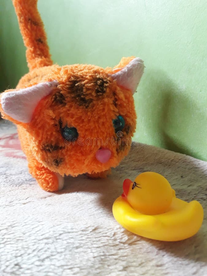 Cat and duck stock photo. Image of textile, v6cat, waterbird - 220368702