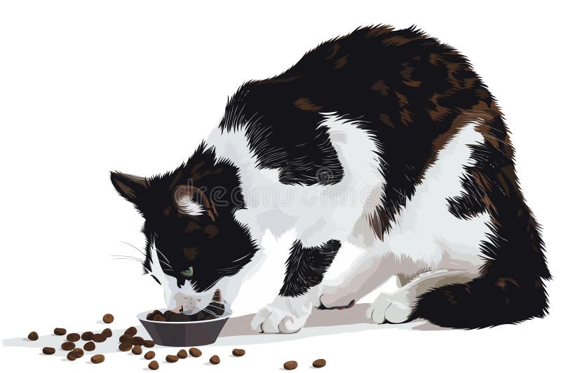 Cat Eating Care Meat Isolated Stock Illustration - Illustration of ...
