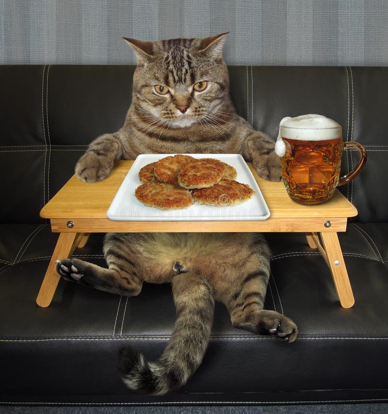 Cat Eats Fried Cutlets from a Bed Tray 2 Stock Photo - Image of beer ...