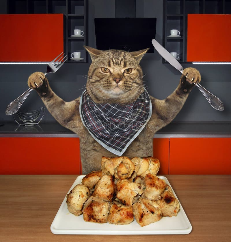 Cat with Grilled Meat Near Bbq Grill Stock Photo - Image of oven, party ...
