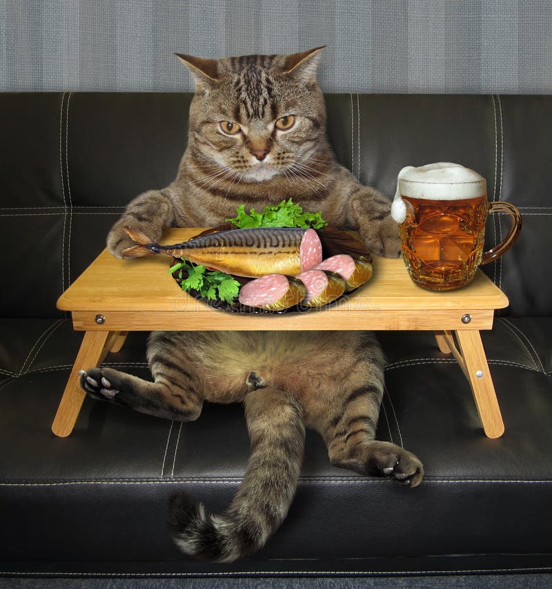 Cat Eats Stuffed Fish from a Bed Tray 2 Stock Image - Image of animal ...