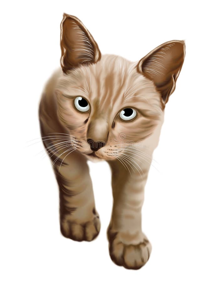 A Cat the Expression of Doubt Stock Illustration - Illustration of ...