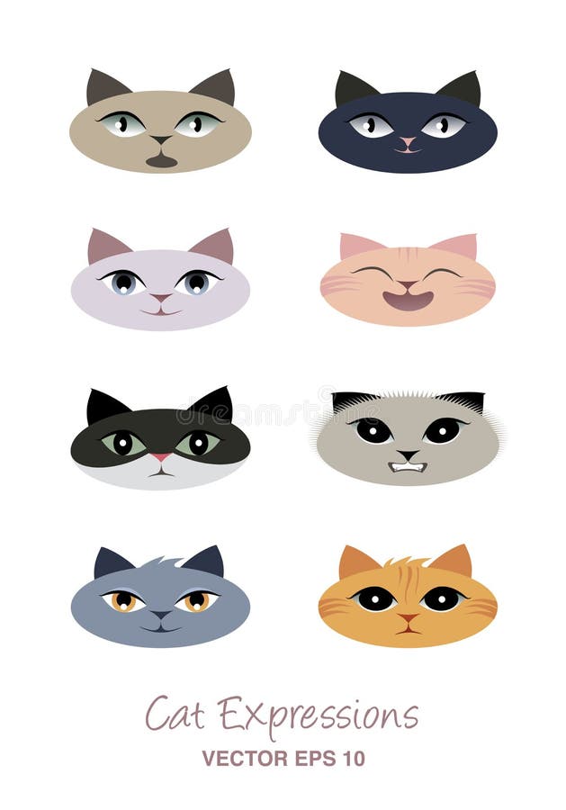 Cat Expressions stock vector. Illustration of victory - 85040067