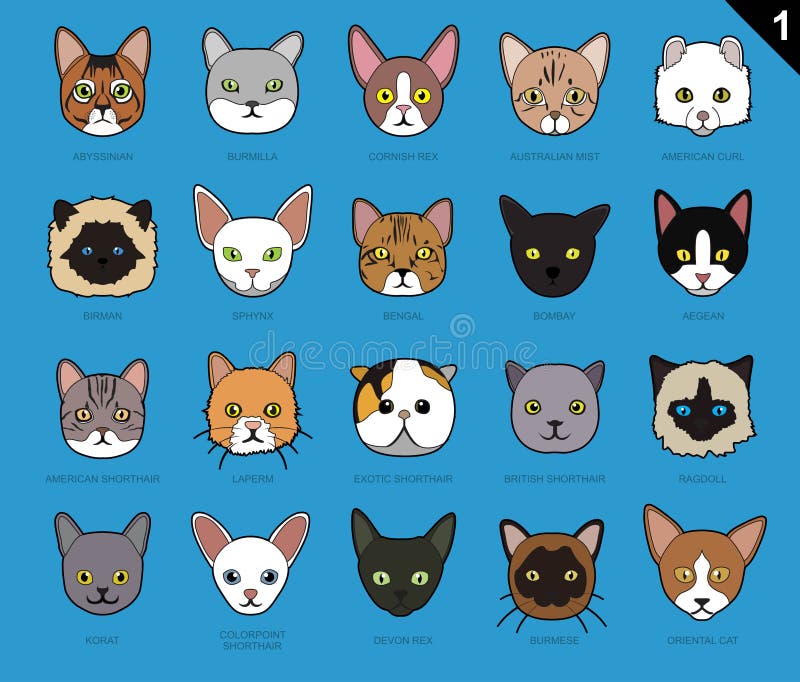 Cat Faces Icon Cartoon 1 Stock Illustrations – 2 Cat Faces Icon Cartoon ...