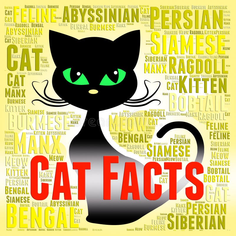 Cat Facts Shows True Knowledge Et Chat Illustration Stock ...