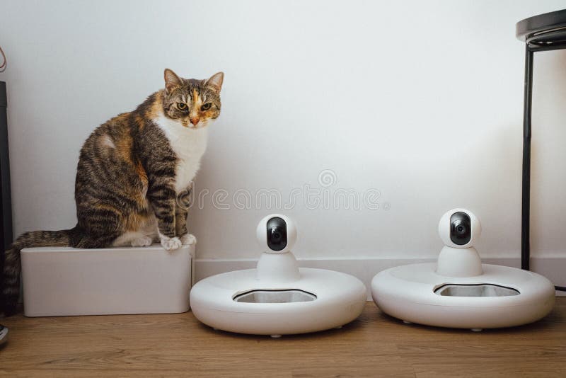 Robot Zoo Animals Stock Photos - Free & Royalty-Free Stock Photos from ...