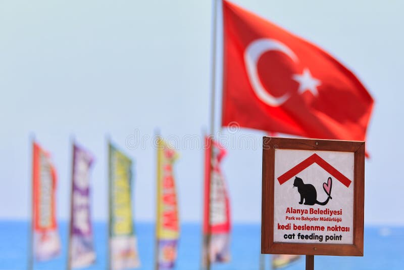 Cat Feeding Point. Alanya,Turkey Stock Image - Image of care, heat ...