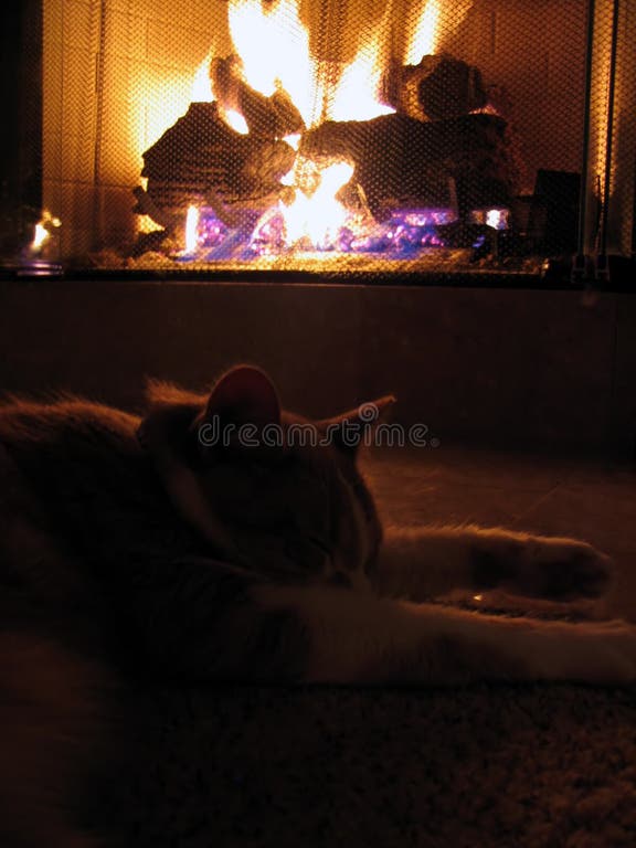 Cat and fireplace stock photo. Image of fire, fireplace - 41562