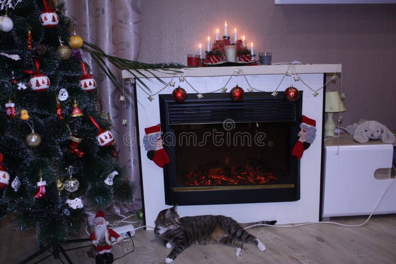 Cat by the Fireplace Under the Christmas Tree. Stock Photo - Image of ...